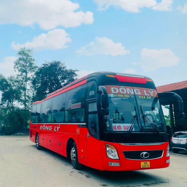 Xe Đông Lý – Tongdaive